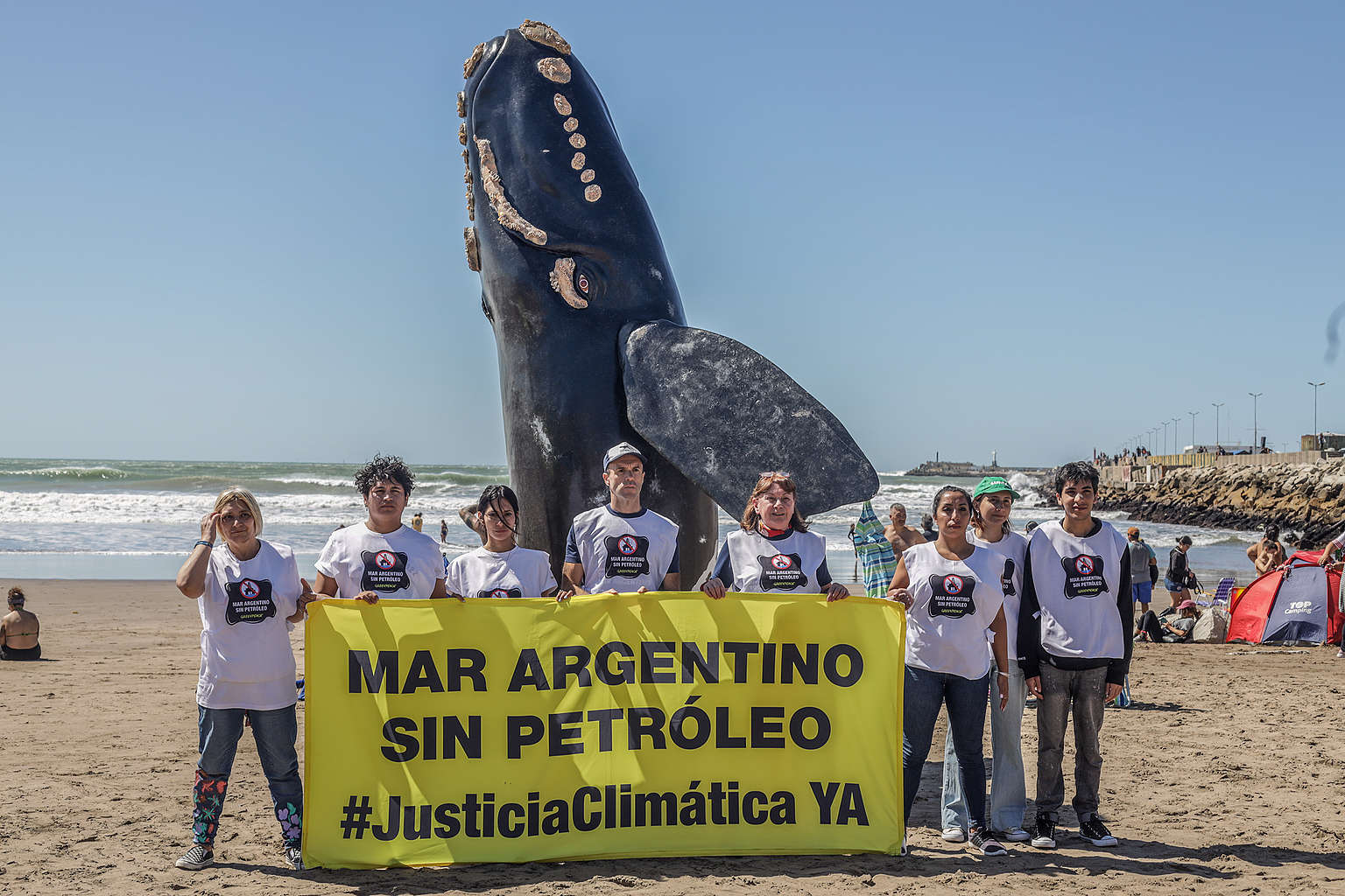 Fundación Greenpeace Argentina Mar Del Plata La Instalación
