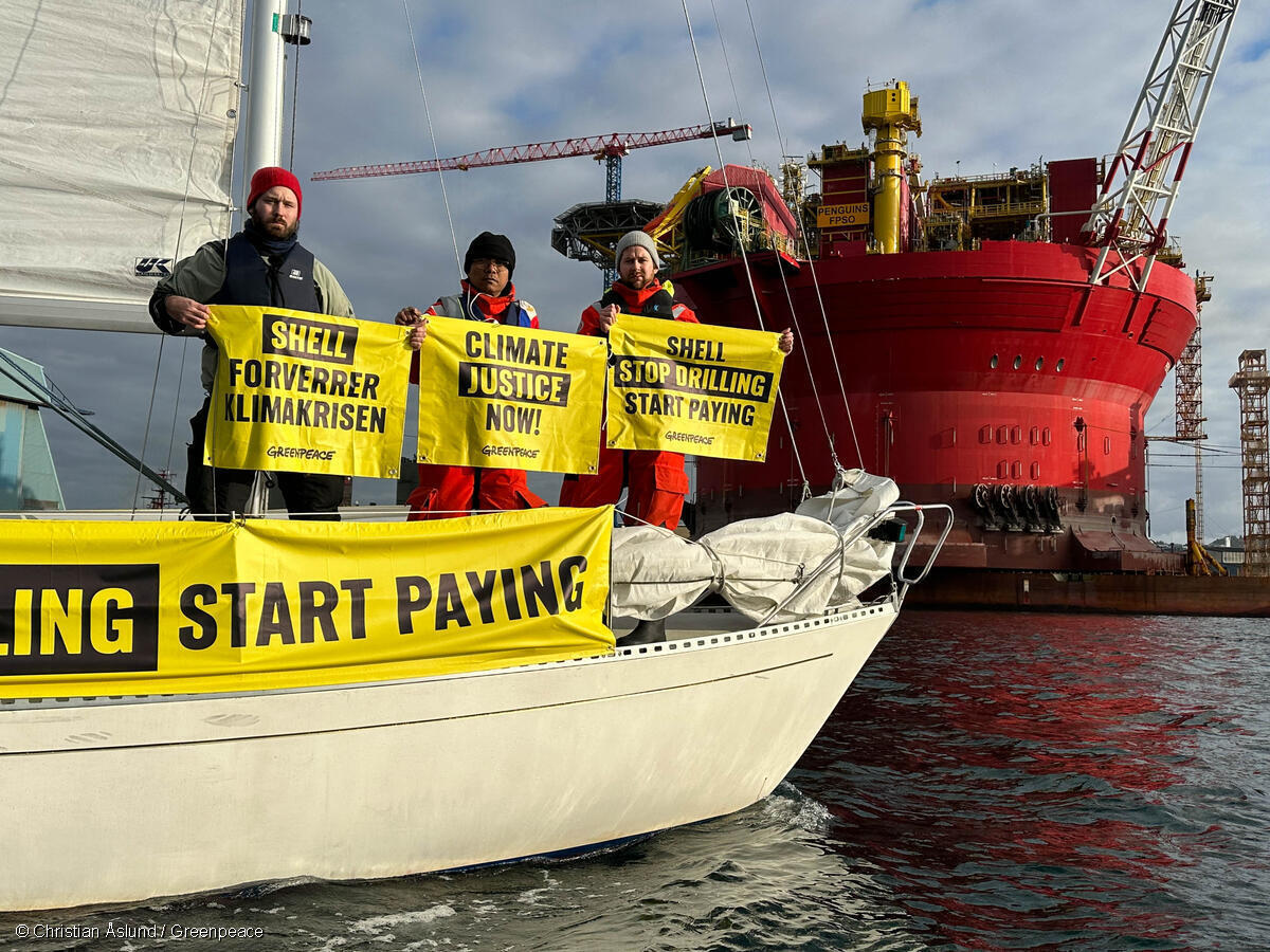 Fundación Greenpeace Argentina | Luego de 13 días y 4000 km recorridos ...