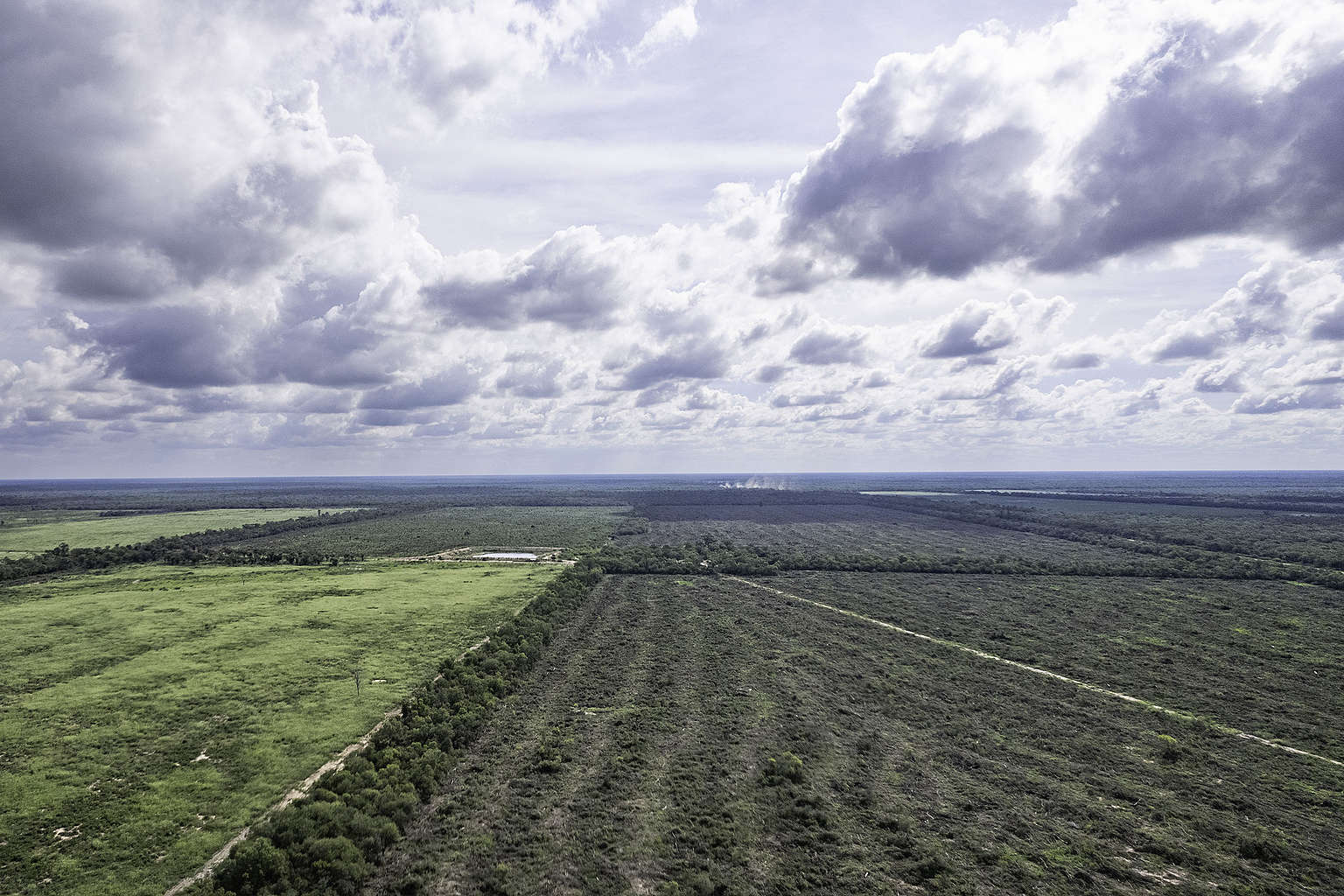 Fundación Greenpeace Argentina | Más desmontes en Formosa: Greenpeace ...