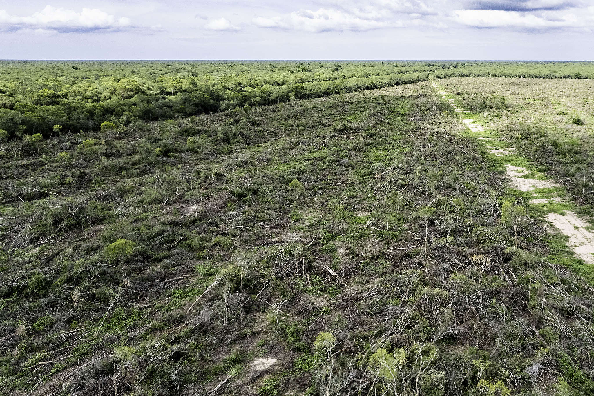 Fundación Greenpeace Argentina | Más desmontes en Formosa: Greenpeace ...