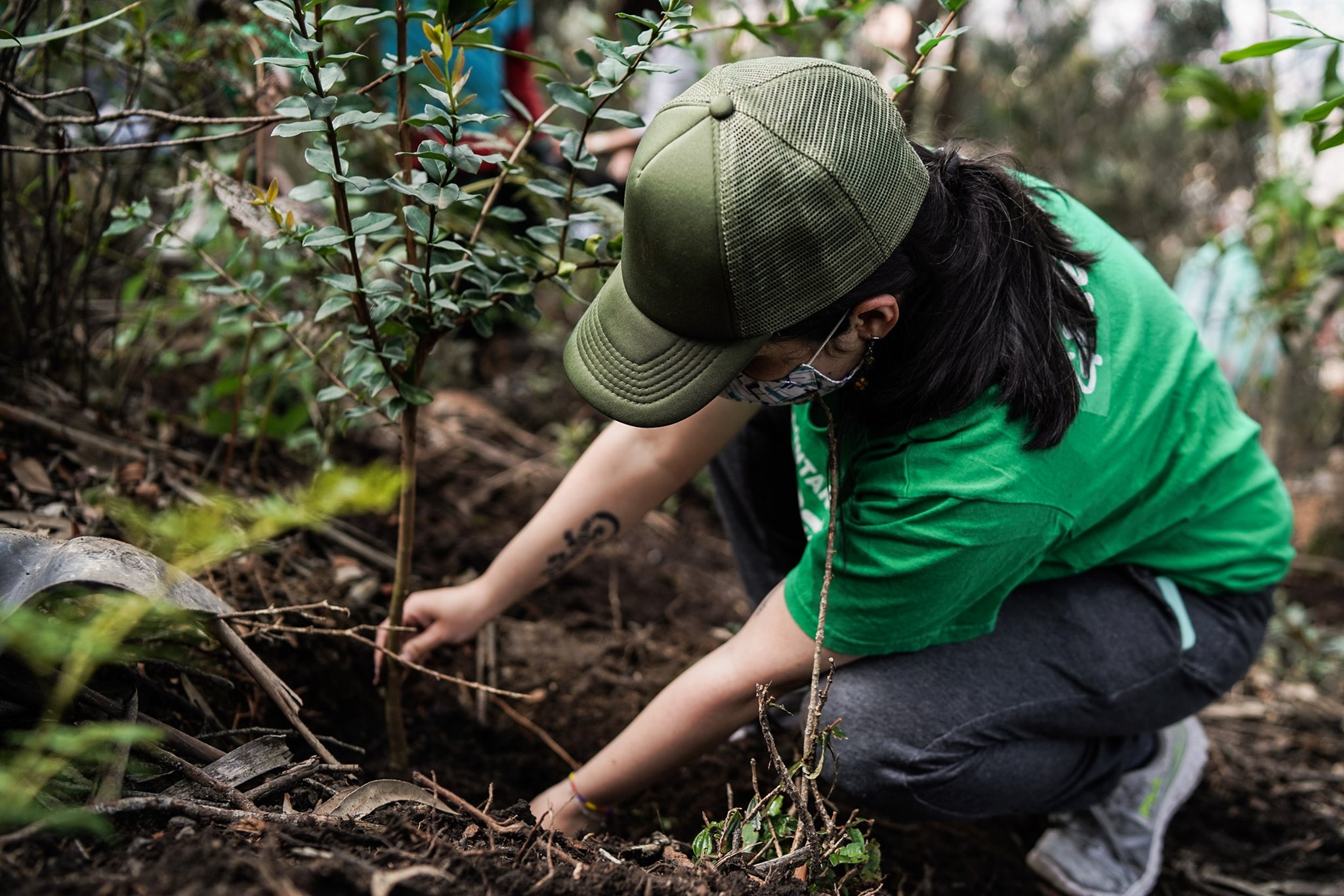 Fundación Greenpeace Argentina | Día Mundial de la Tierra: reconectar ...