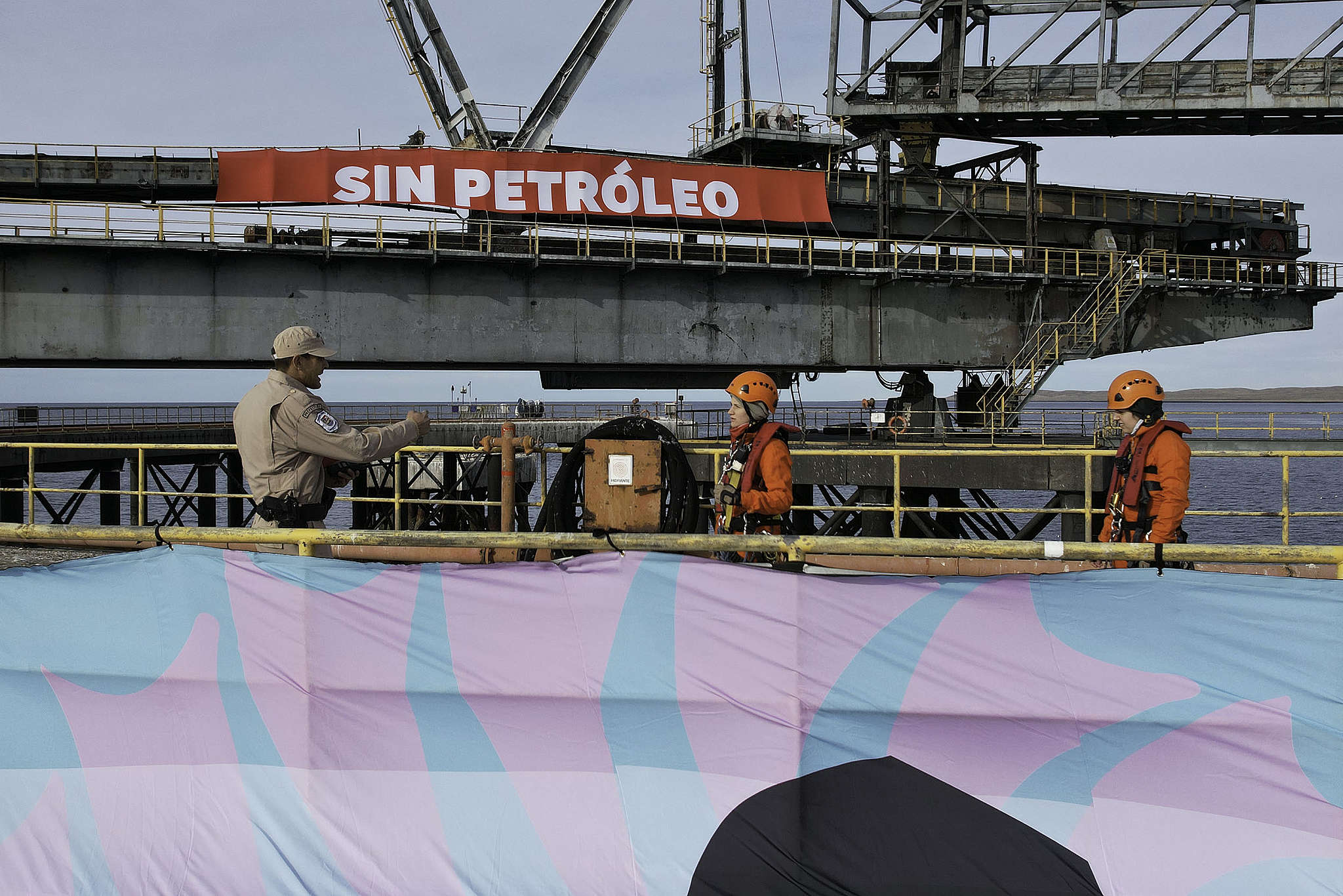 Fundación Greenpeace Argentina Activistas De Greenpeace Detenidos