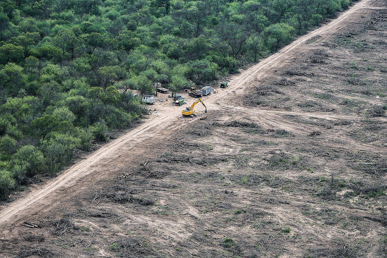 Fundación Greenpeace Argentina | Así se ve la deforestación en ...