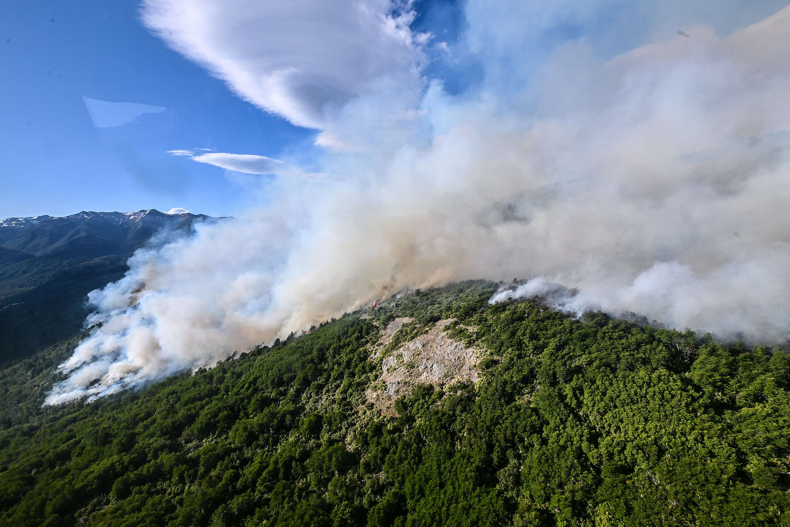 Fundación Greenpeace Argentina | Incendios forestales