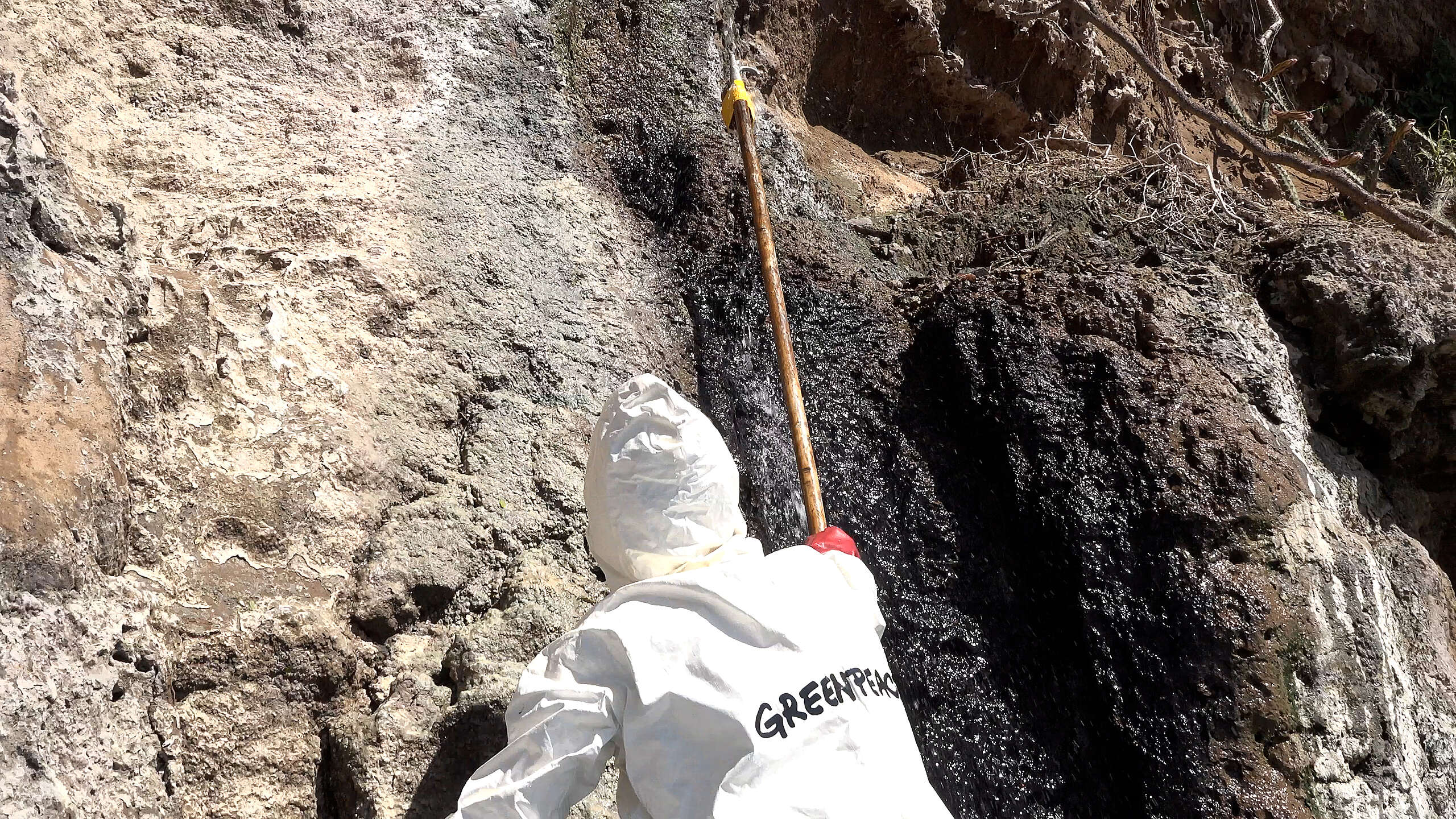 Fundación Greenpeace Argentina | Nuevas pruebas de la contaminación de ...