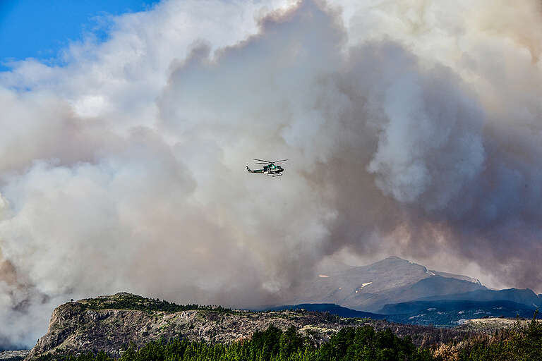 Fundación Greenpeace Argentina | Patagonia en llamas: Los incendios forestales ya arrasaron más ...