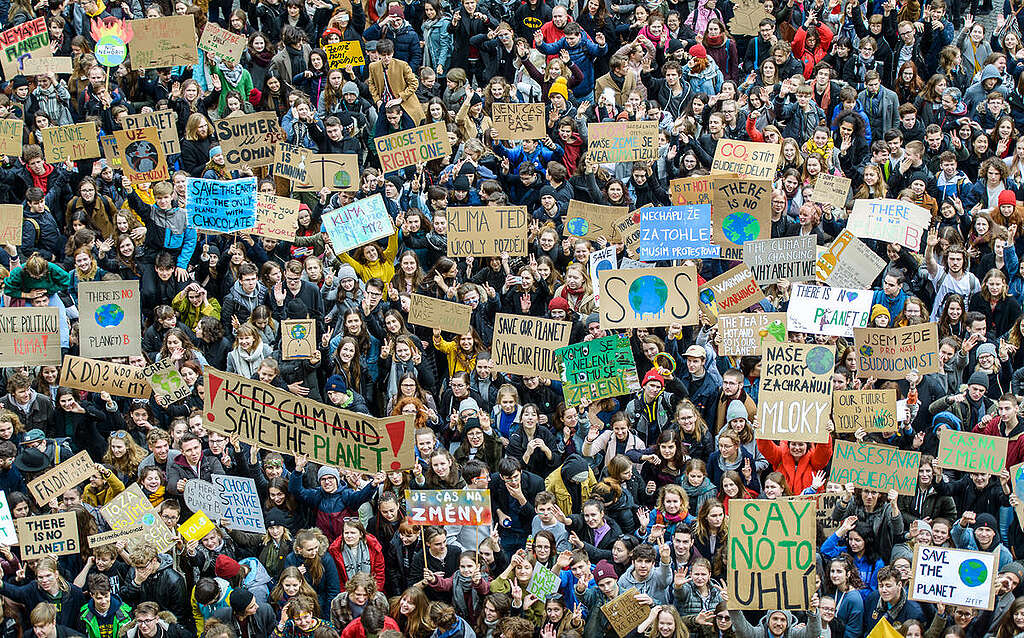 Fundación Greenpeace Argentina | 5 formas en las que podés ayudar a ...