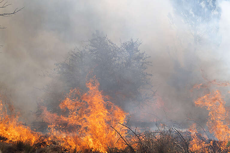 Fundación Greenpeace Argentina | URGENTE: Continúan los incendios en Córdoba