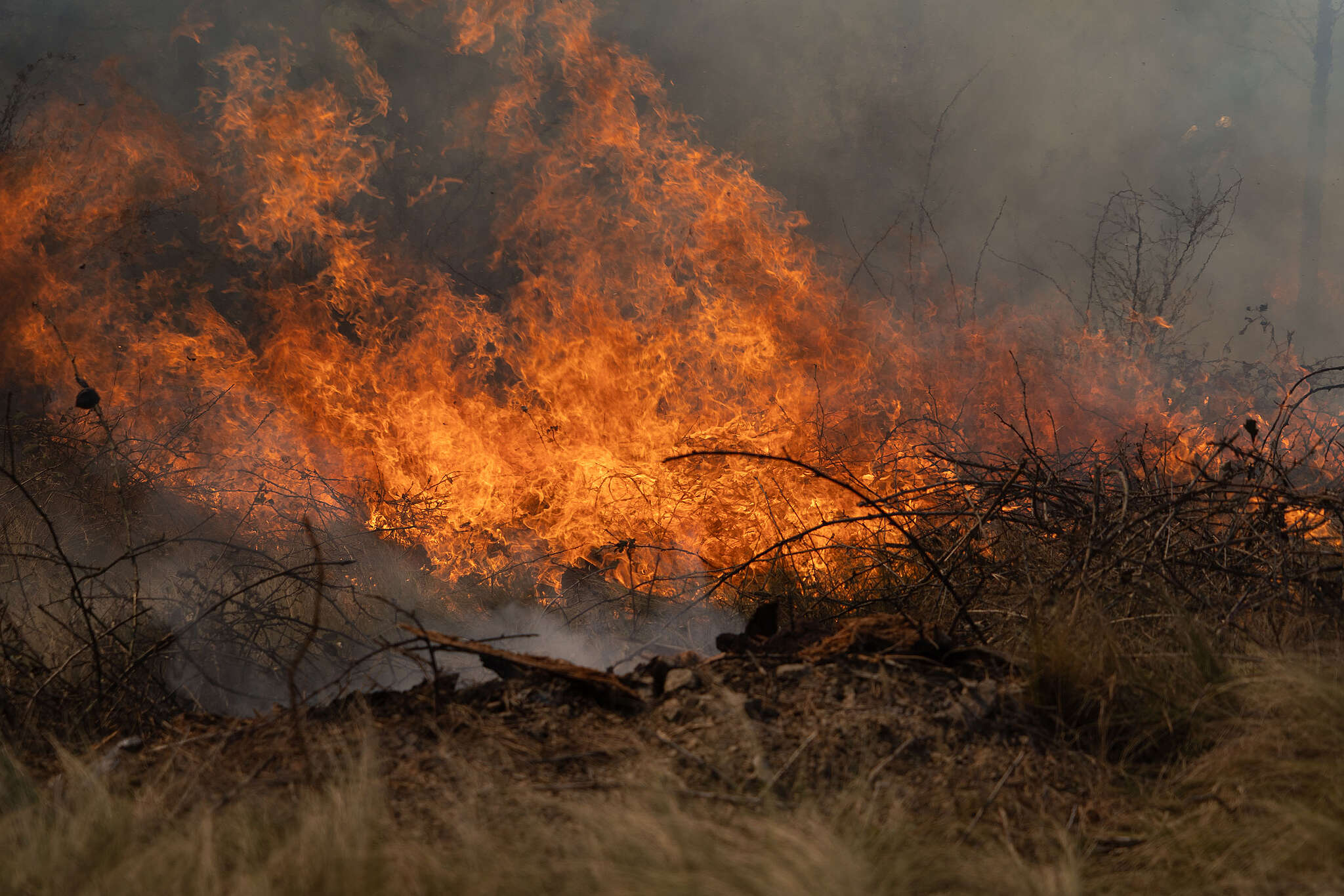 Fundación Greenpeace Argentina | URGENTE: Continúan los incendios en Córdoba