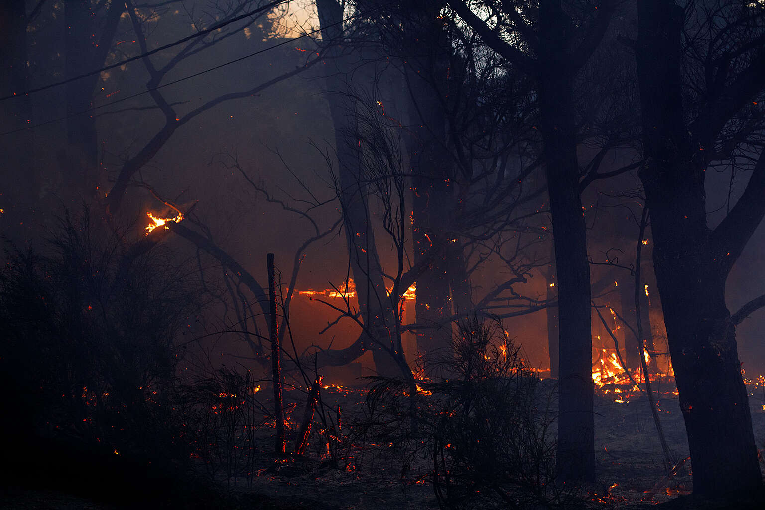 Fundación Greenpeace Argentina Patagonia En Llamas Los Incendios