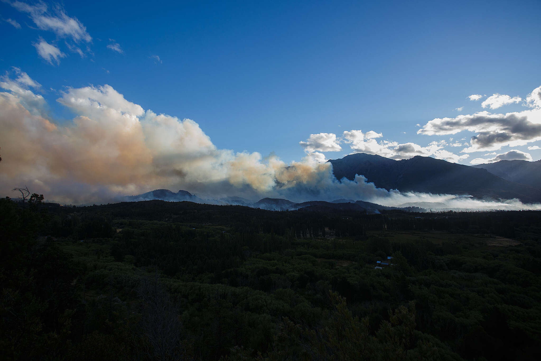 Fundación Greenpeace Argentina | Ecocidio en la Patagonia: Incendios activos en tres provincias ...