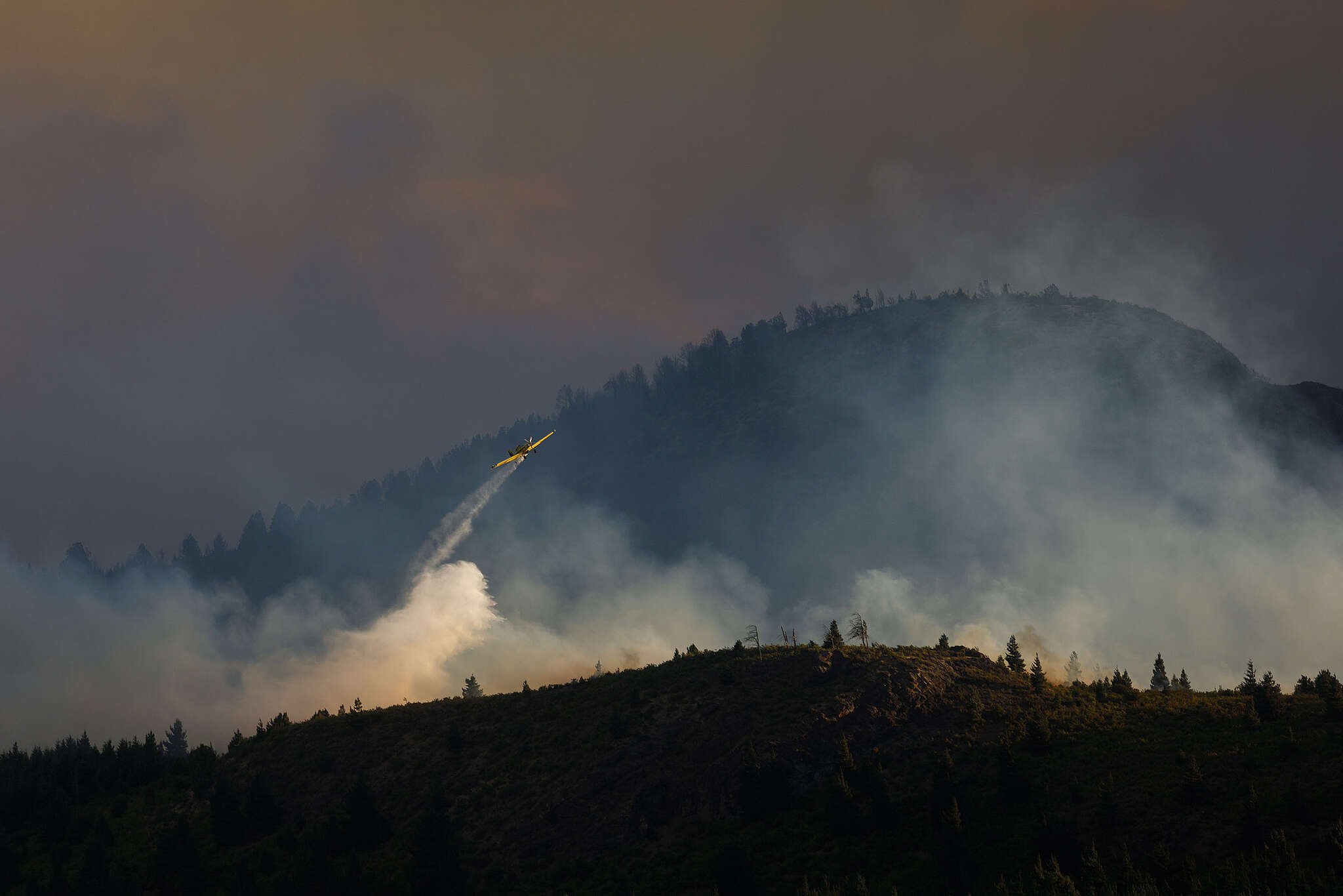Fundación Greenpeace Argentina | La Patagonia argentina sufre los peores incendios forestales de ...