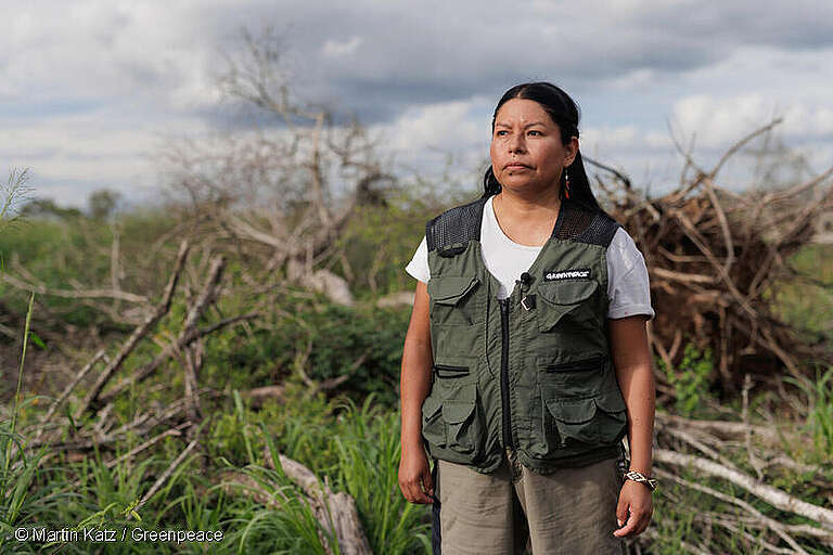Fundación Greenpeace Argentina | La Patagonia argentina sufre los peores incendios forestales de ...