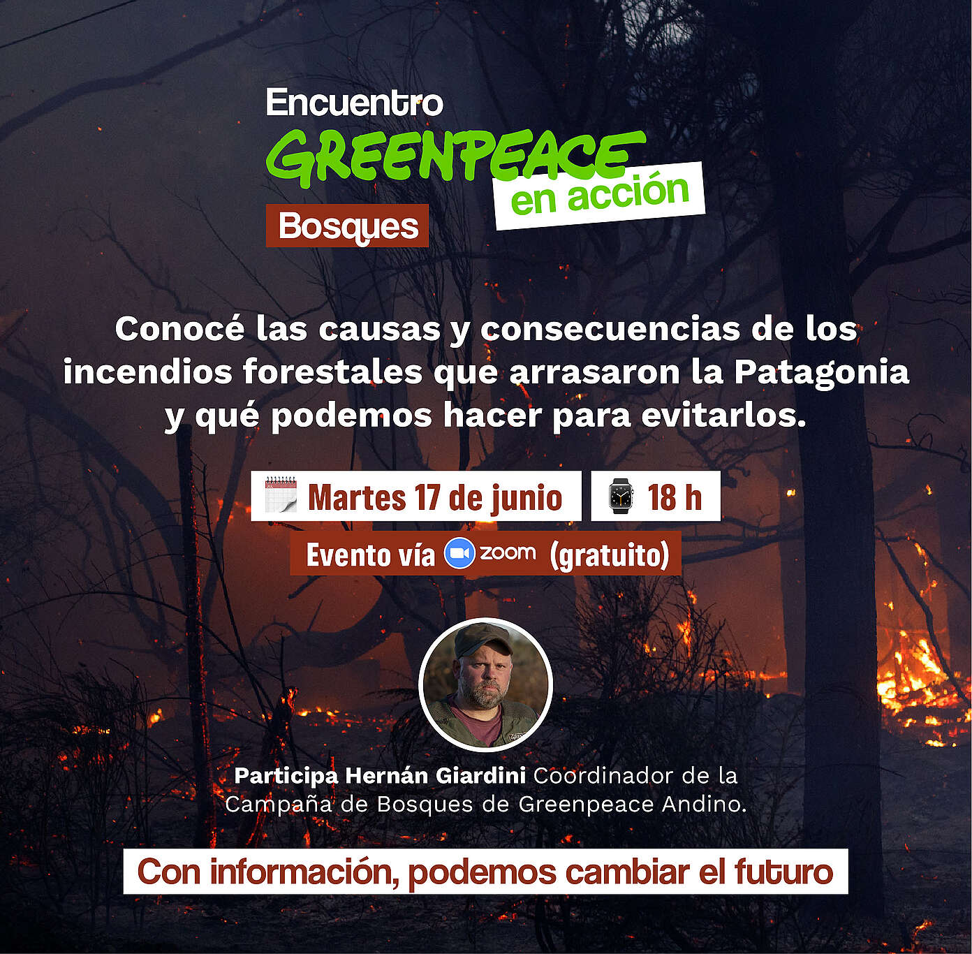 Fundación Greenpeace Argentina | La Patagonia argentina sufre los peores incendios forestales de ...
