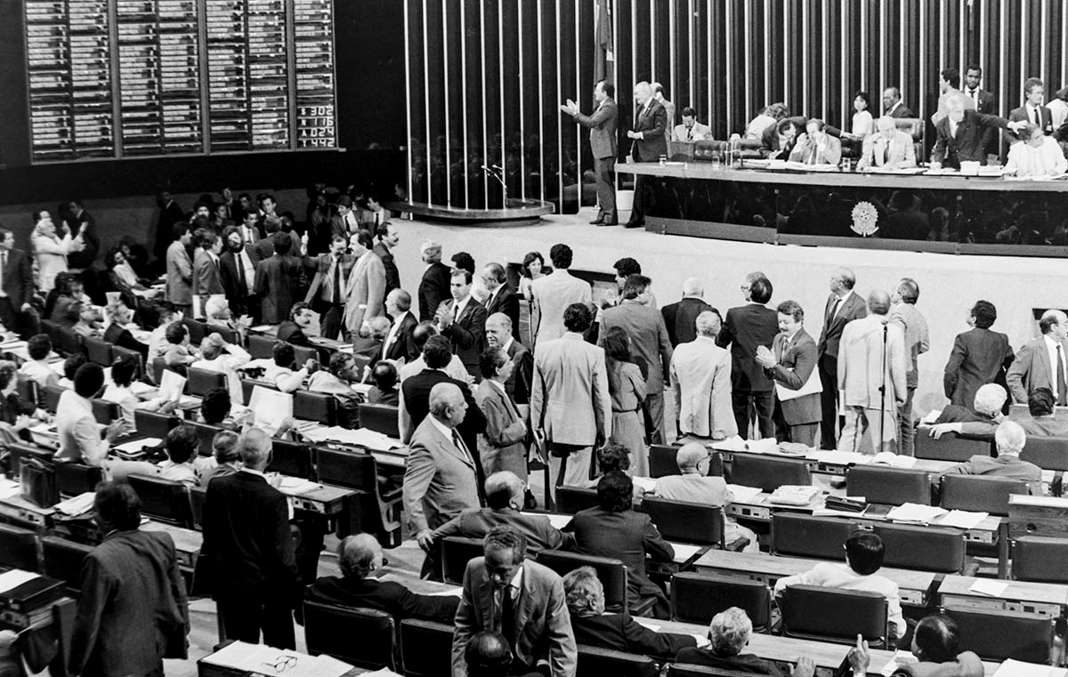 Especial 30 Anos Da Constituição Brasileira A Guardiã Do Meio