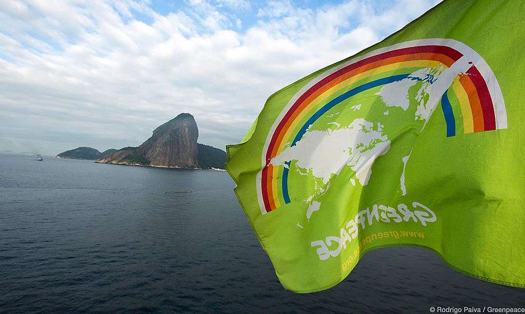 Você conhece o Greenpeace? - Greenpeace Brasil
