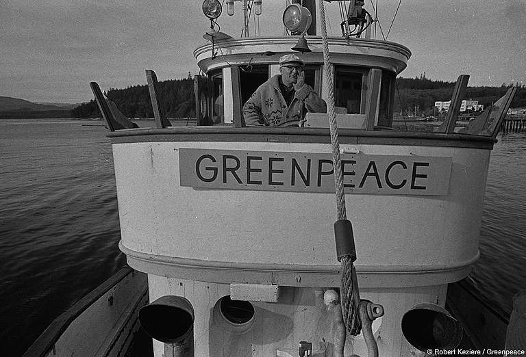 Você conhece o Greenpeace? - Greenpeace Brasil