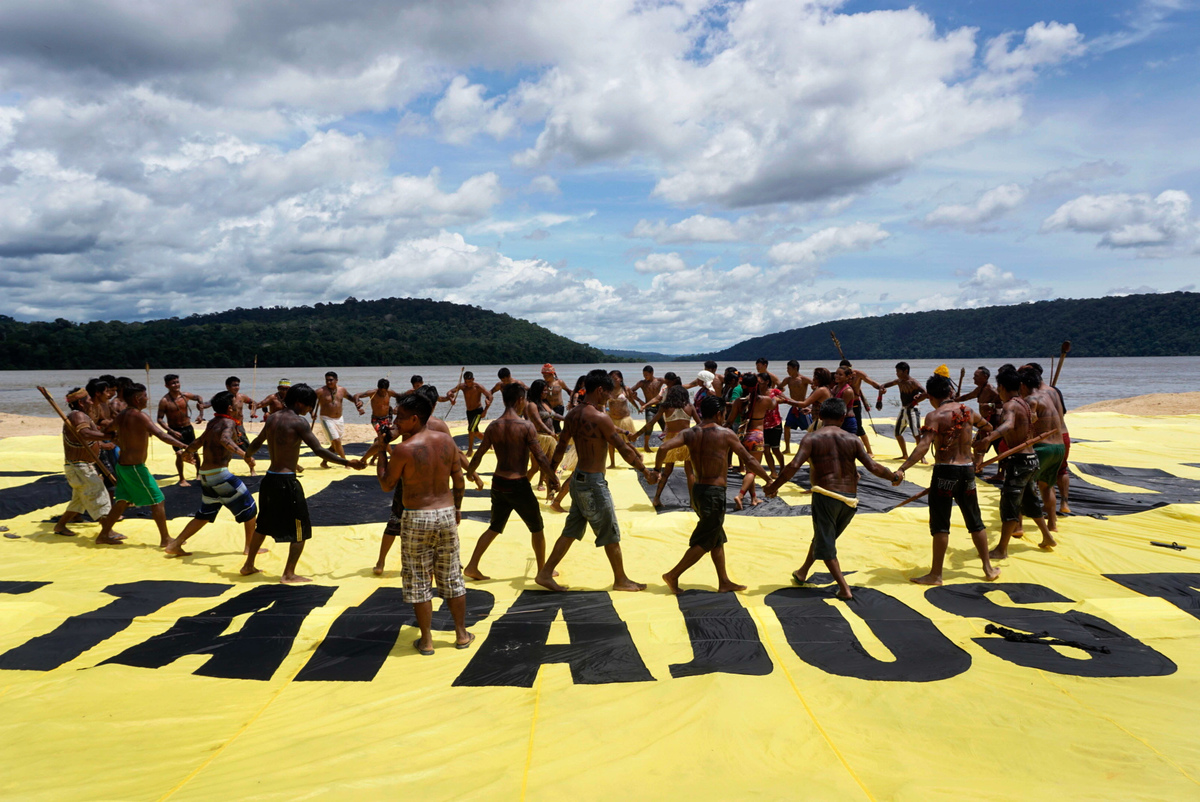 7 curiosidades sobre o Greenpeace Brasil - Greenpeace Brasil