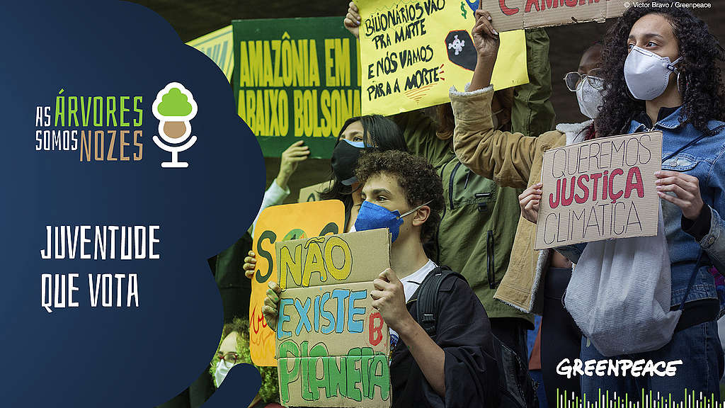 Greenpeace Brasil
