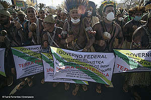 Quem somos - Greenpeace Brasil