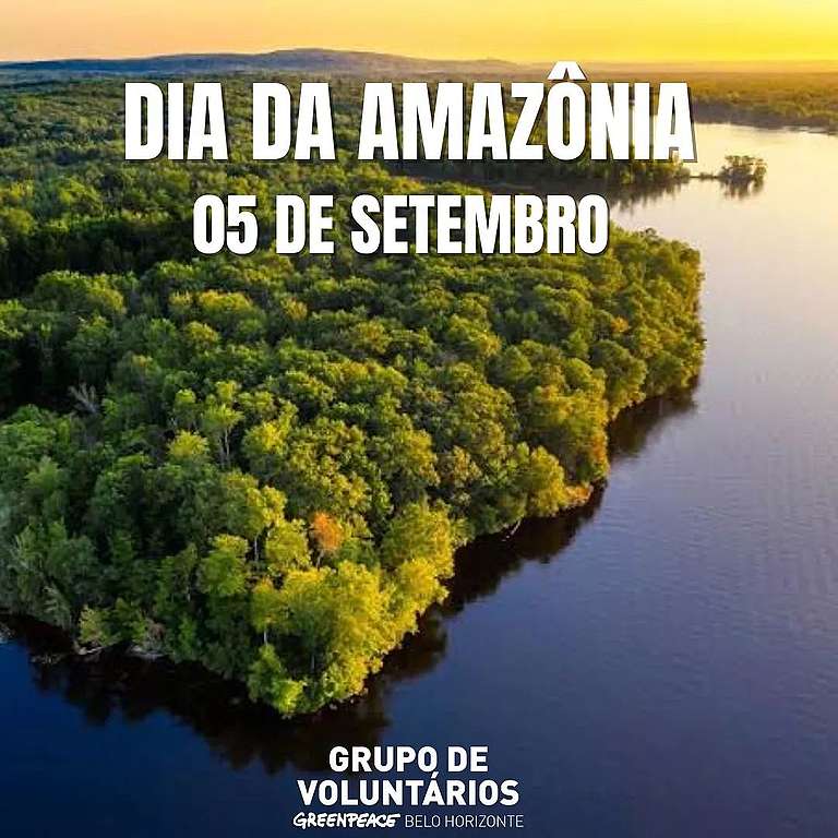 No Dia da Amazônia, grupos locais realizaram projeções para enfatizar a ...