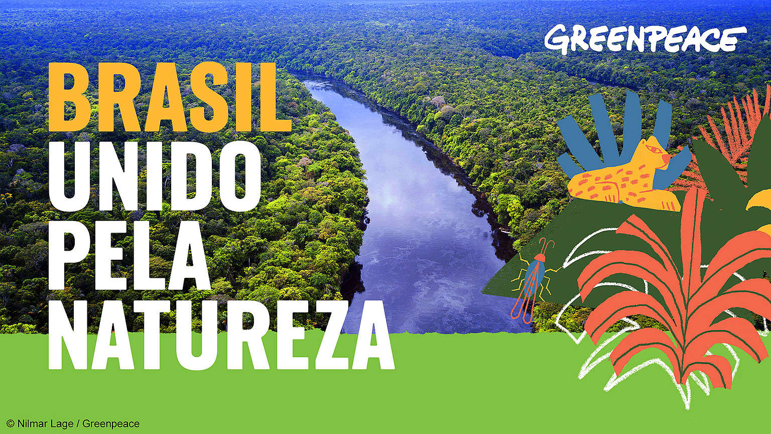Dia de Doar: Participe da campanha Brasil Unido pela Natureza ...