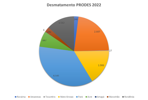 Taxa de desmatamento da Amazônia mantém patamar alarmante, revela Prodes 2022 - Greenpeace Brasil