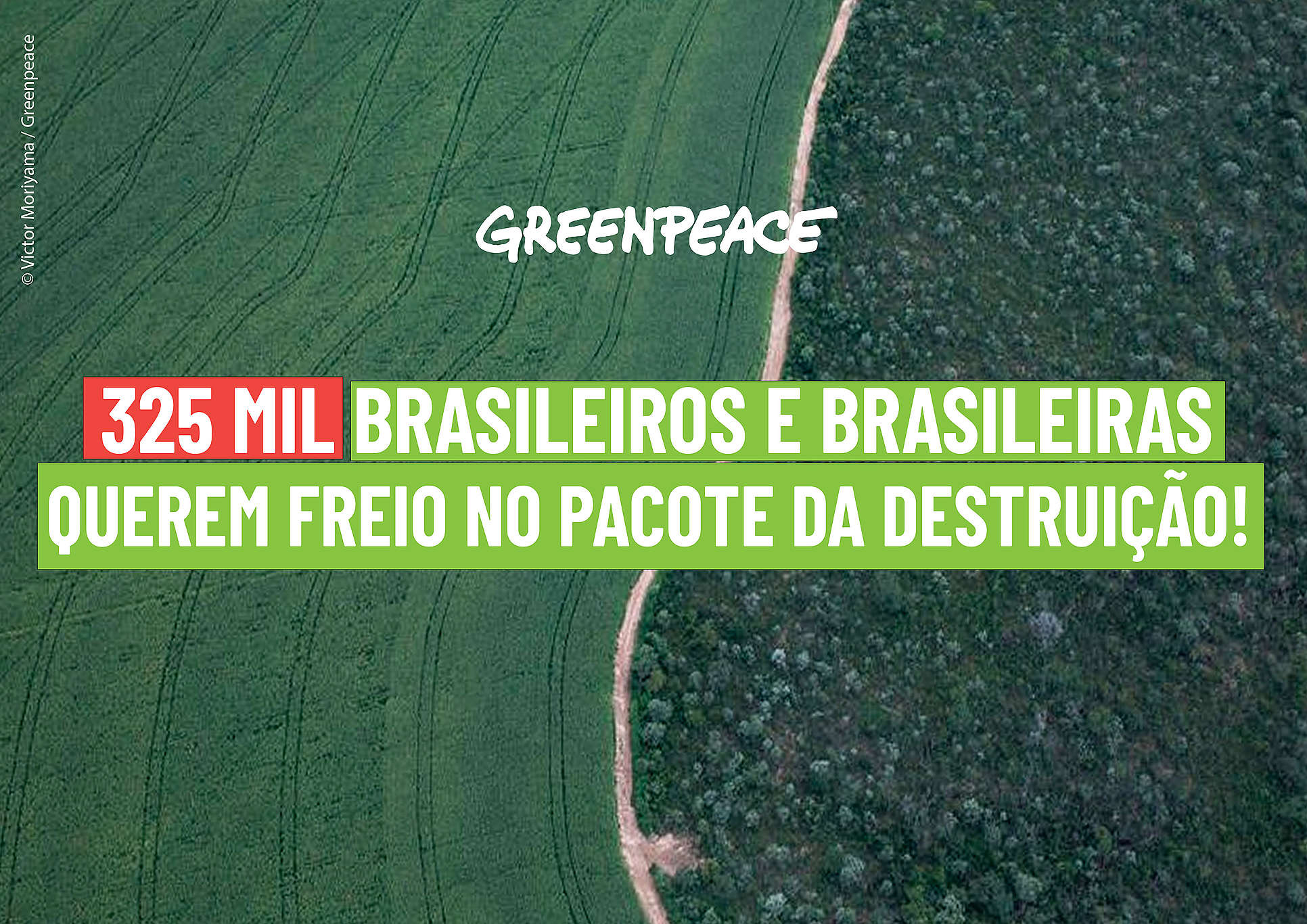Por uma política em defesa da vida! - Greenpeace Brasil