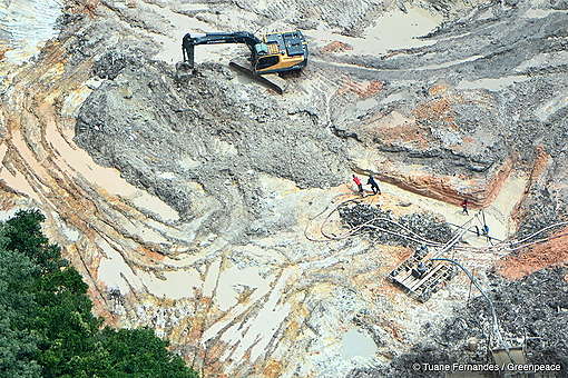Amazônia livre de garimpo - Greenpeace Brasil