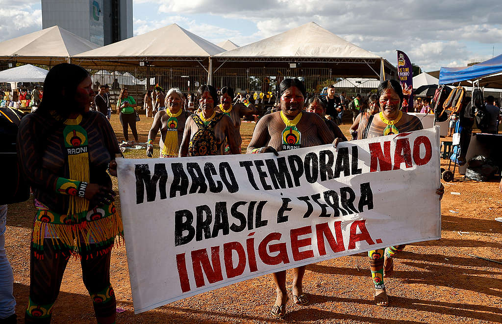 Marco temporal não - Greenpeace Brasil