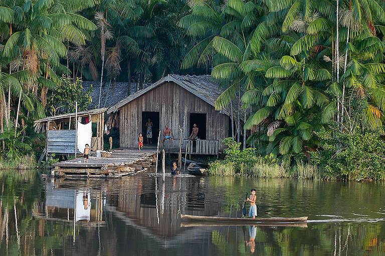 Rio Amazonas: entenda sua importância - Greenpeace Brasil