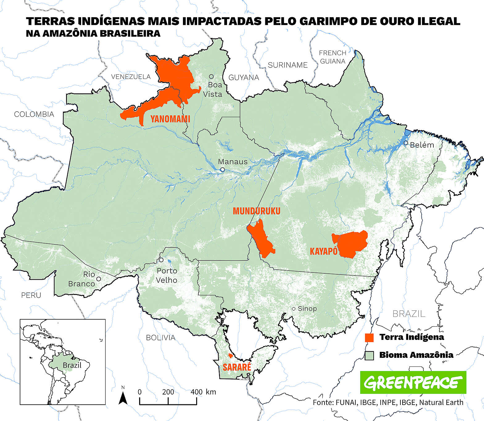 Ouro Tóxico: Greenpeace mostra deslocamento do garimpo ilegal e falhas ...