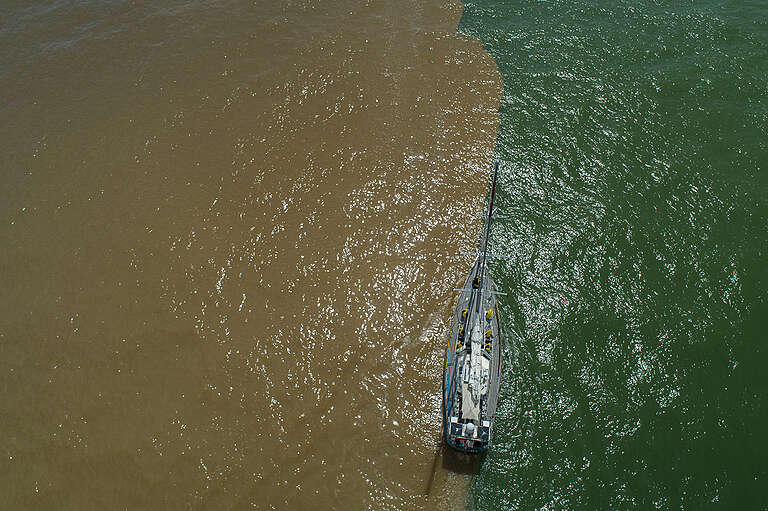 Não precisamos chegar ao fundo do poço: Greenpeace Brasil se manifesta ...