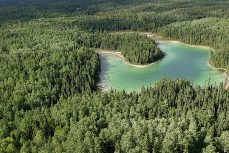 Boreal Forest in Canada - Greenpeace Canada