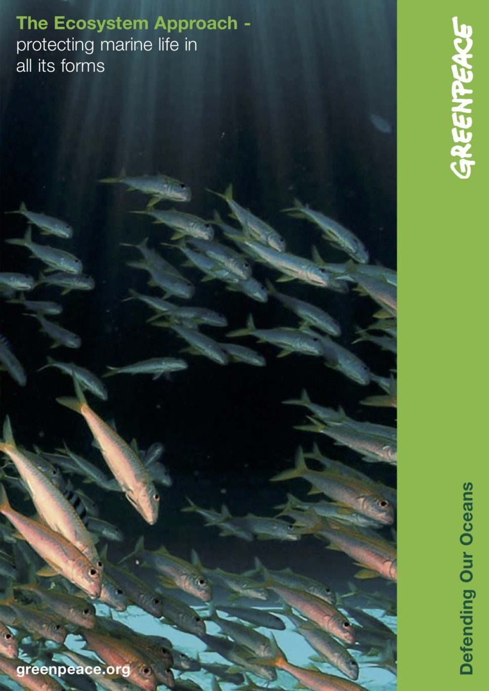 The Ecosystem Approach – protecting marine life in all its forms ...
