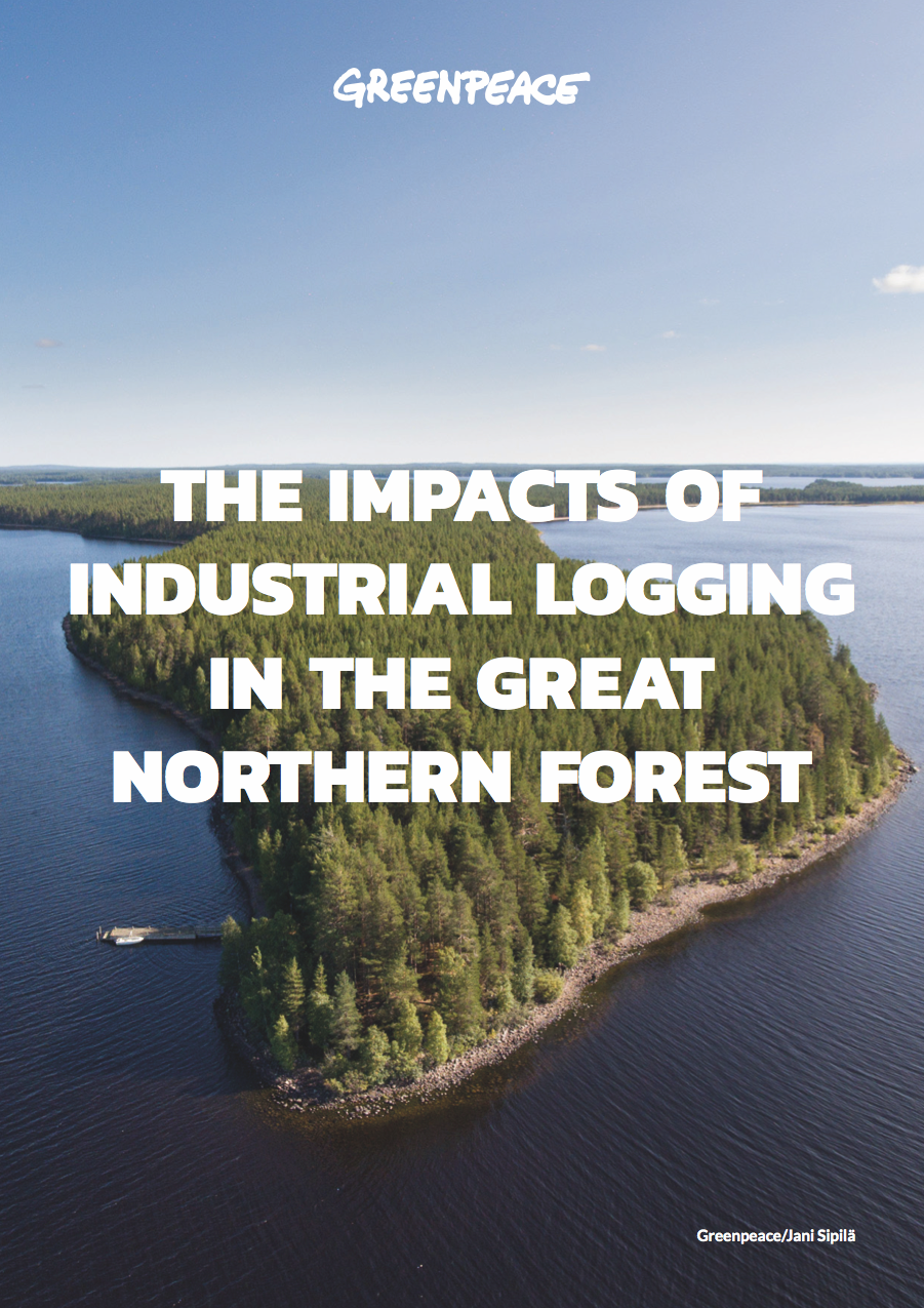 The Impacts of Logging in the Great Northern Forest - Greenpeace Canada