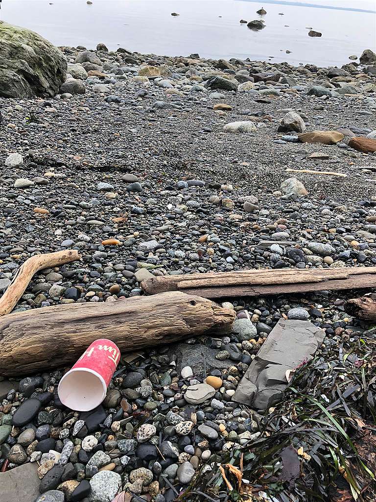Time for Tim Hortons’ Roll Up the Rim campaign to stop fuelling plastic ...