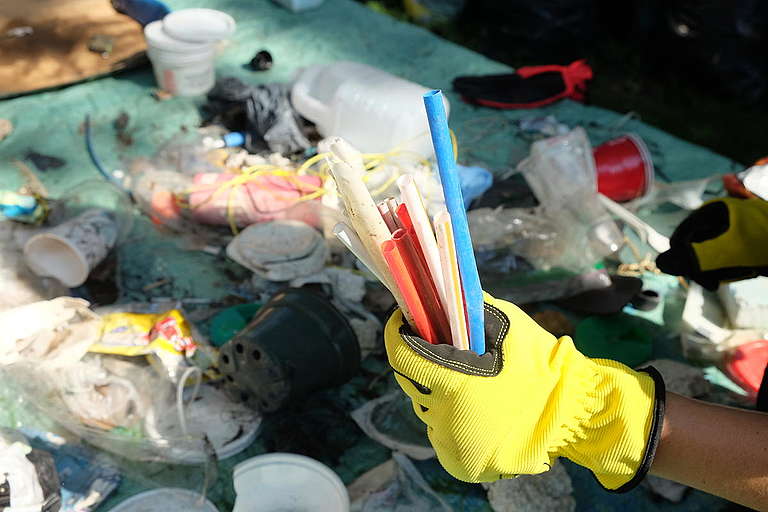 Plastic Clean-up & Brand Audit Activity in Montreal - Greenpeace Canada