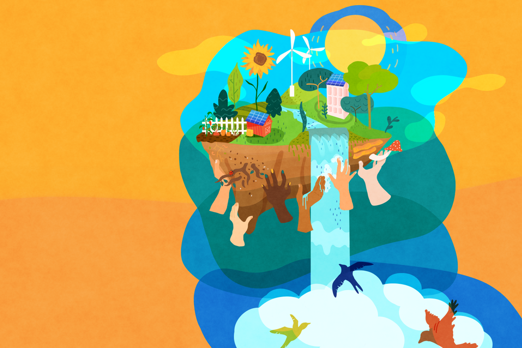 background Data Studio - Greenpeace Canada