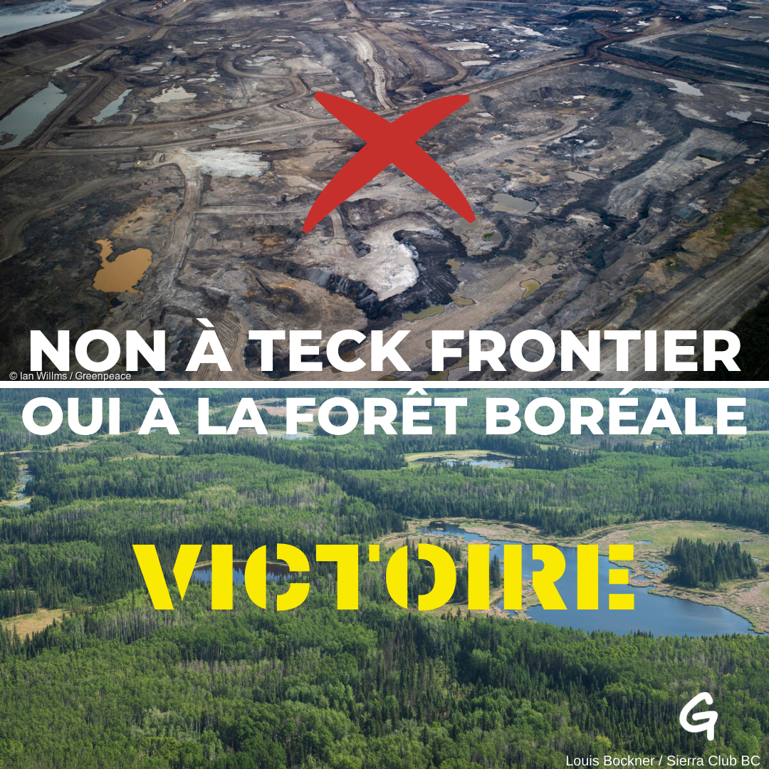 Vous avez gagné: Teck Frontier est abandonné - Greenpeace Canada