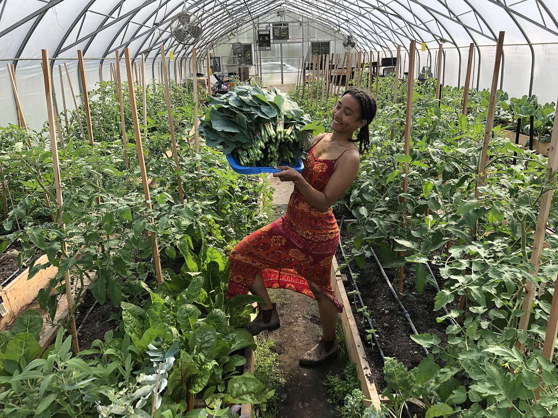 Cheyenne Sundance on why we need food justice, now and after COVID-19 ...