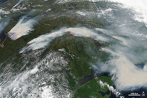 The planet on fire – in photos - Greenpeace Canada