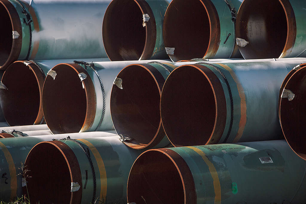 Home - Greenpeace Canada