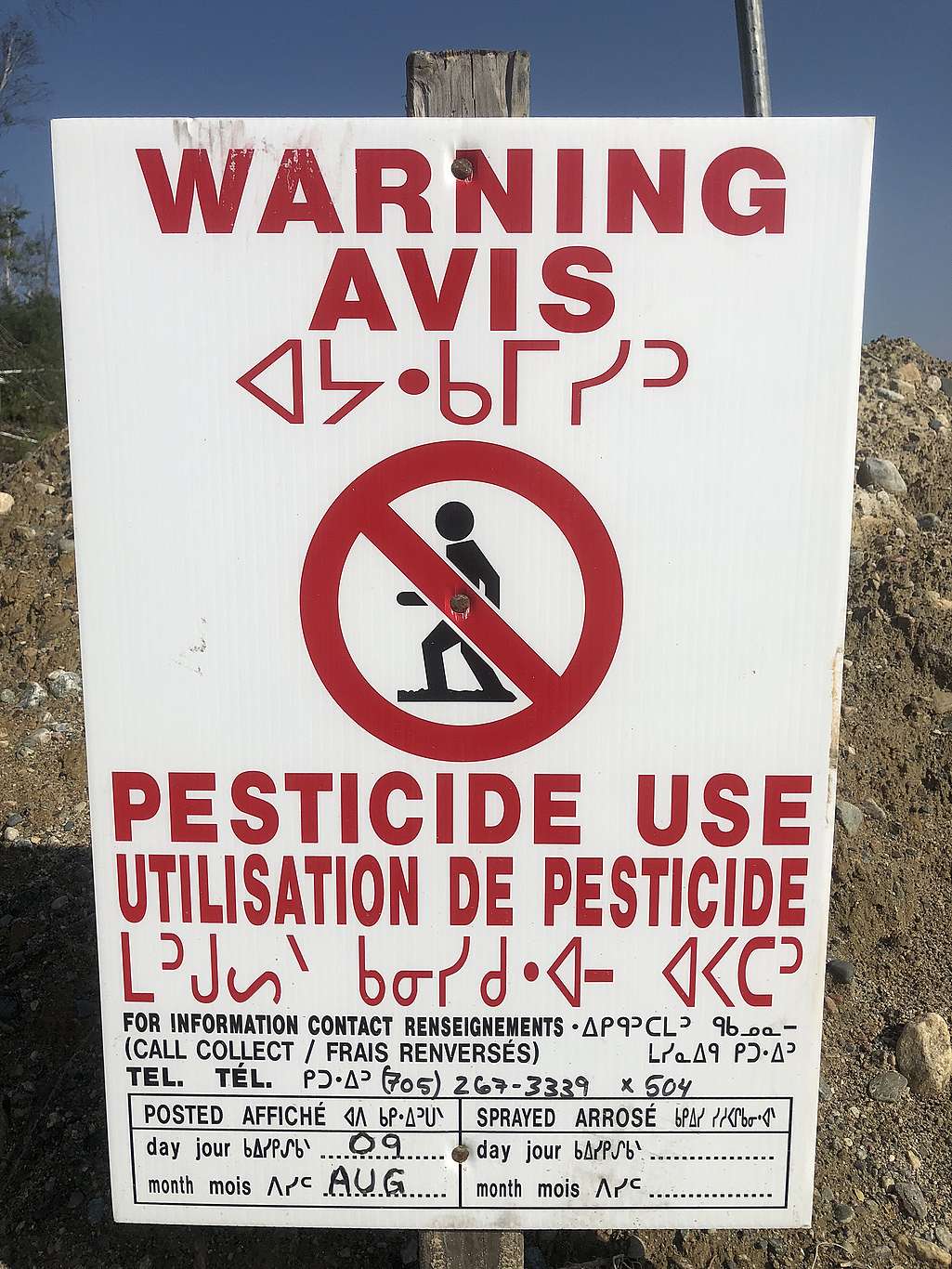 How Glyphosate Herbicide is Used to Poison Forests – And What You Can ...