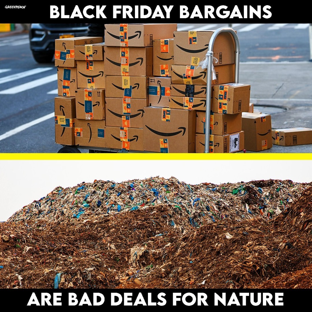 Low Waste Holiday Gift Guide - Greenpeace Canada