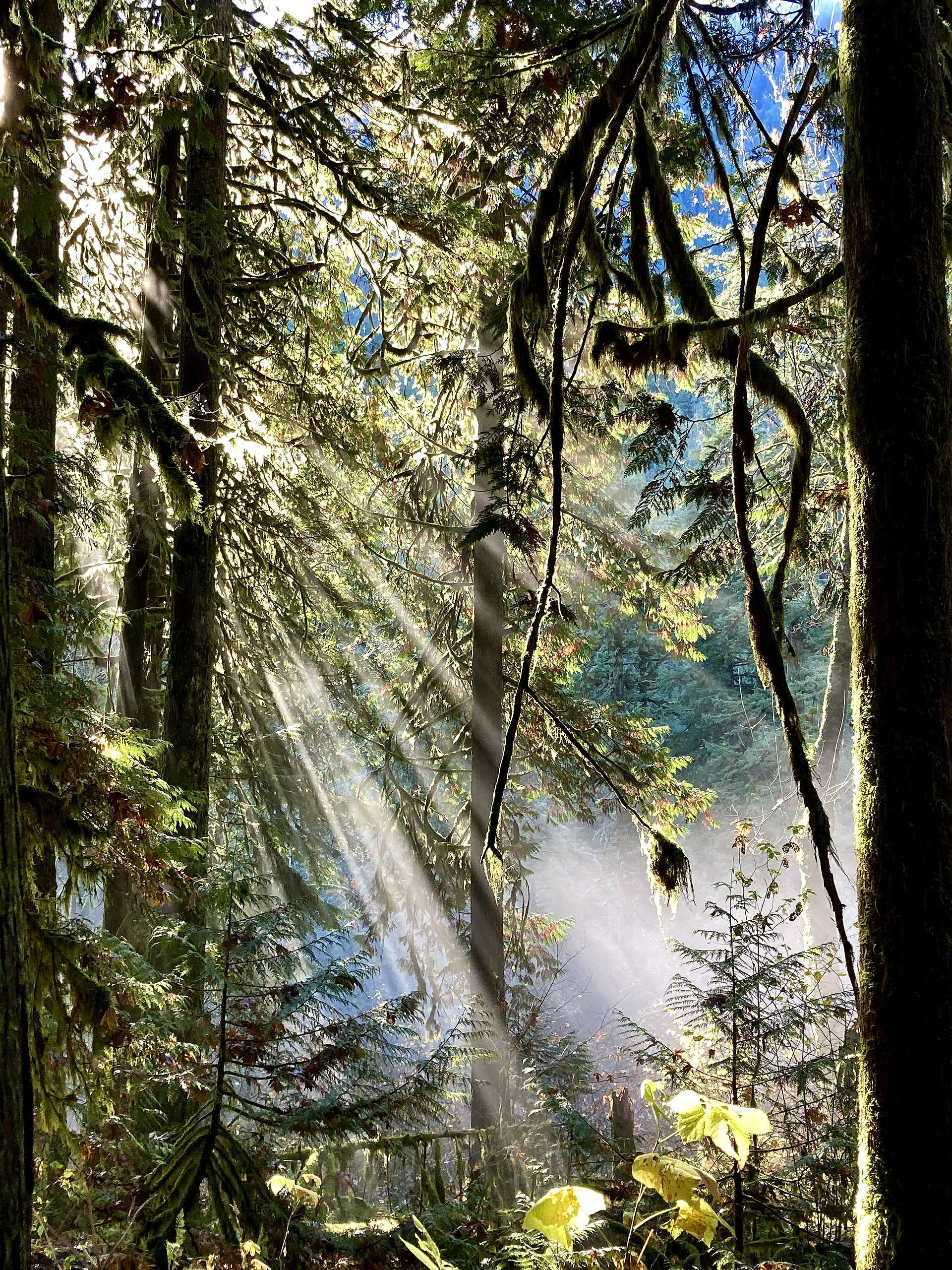 2022 Photo Contest winner’s announcement! - Greenpeace Canada