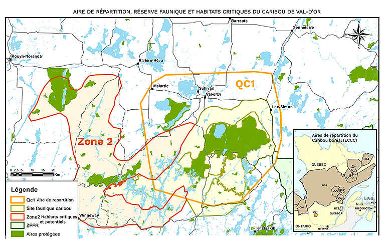 First Nation call for a logging moratorium in caribou habitat ...