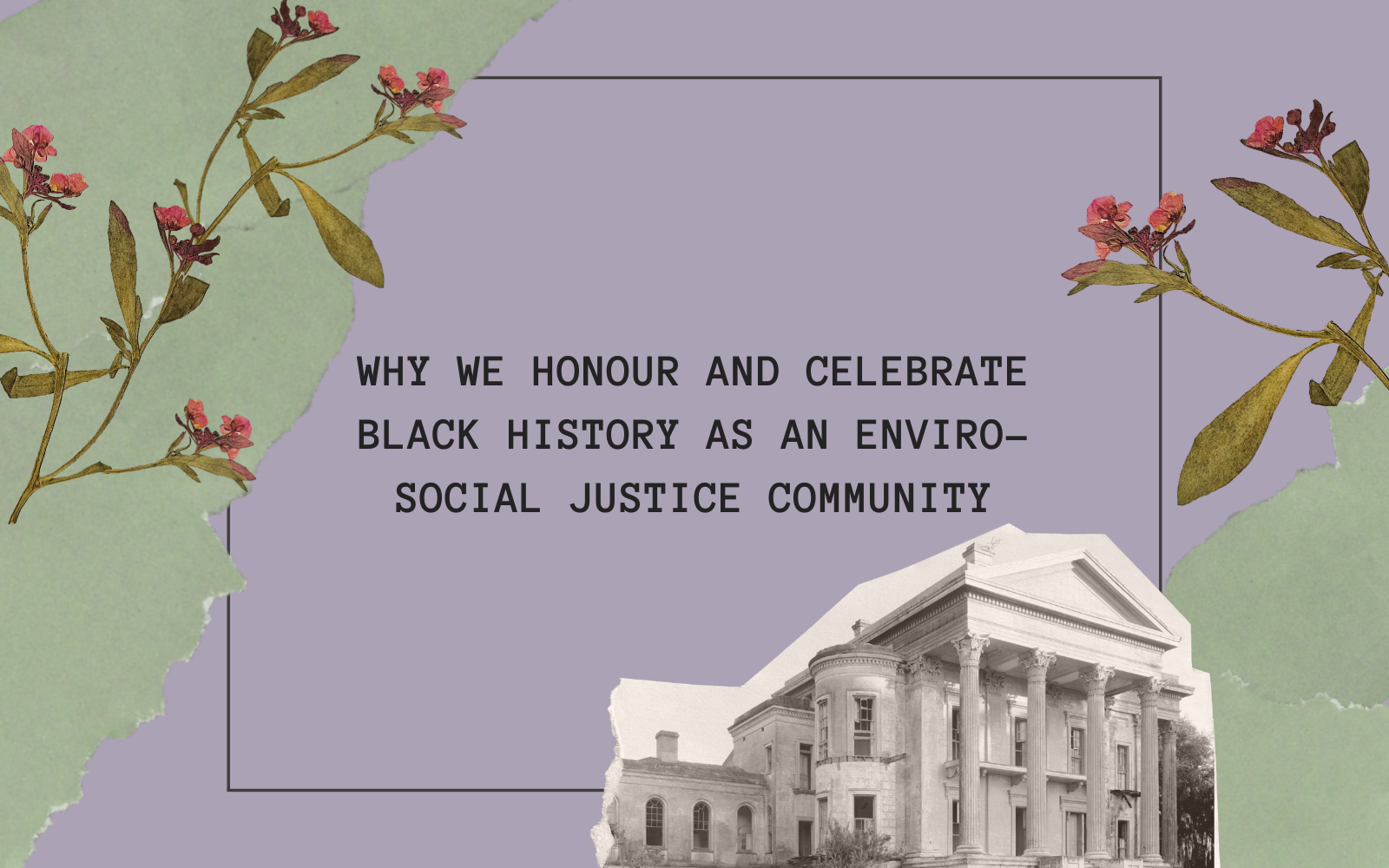 Why we honour and celebrate Black History, present and future as an ...