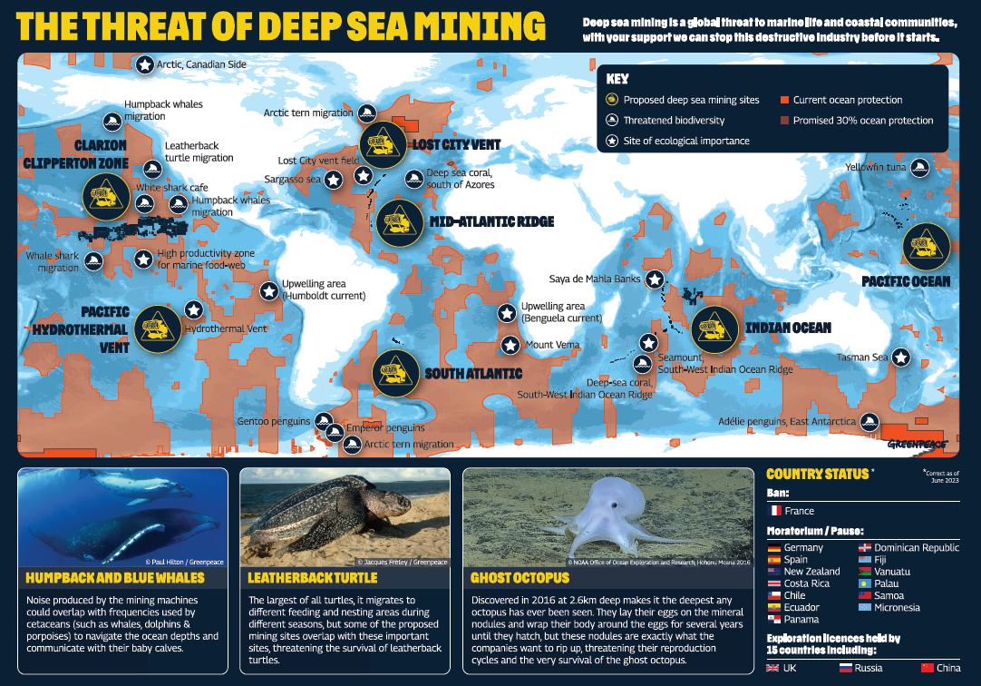 Protect the deep sea this World Oceans Day - Greenpeace Canada