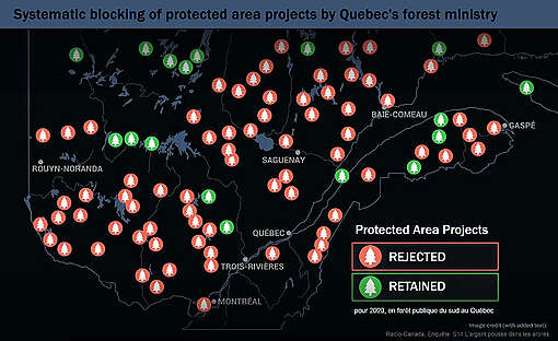 What is going on in the boreal forest in Quebec? - Greenpeace Canada